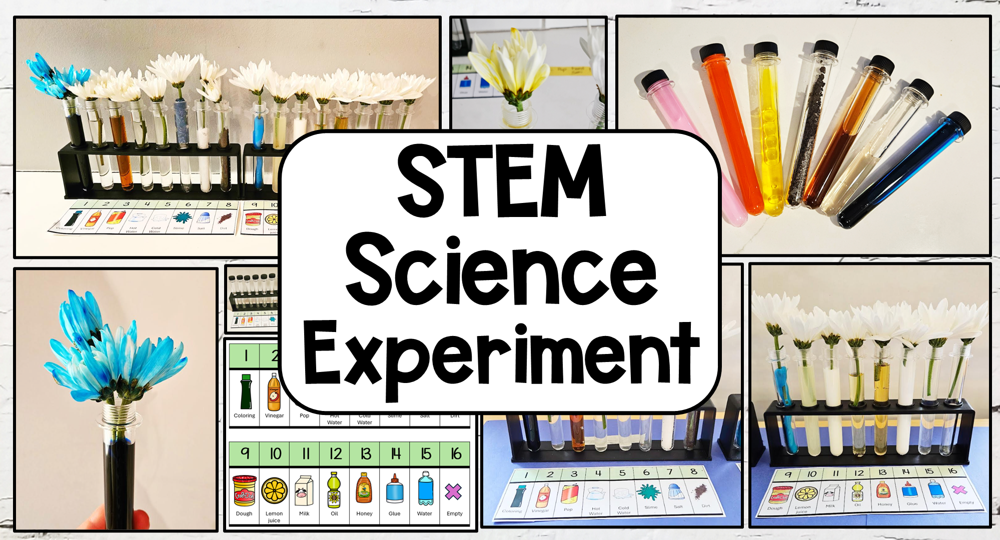 Science + STEM Archives - Hands-On Teaching Ideas