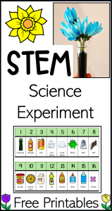 STEM Science Activity (Free Printable)